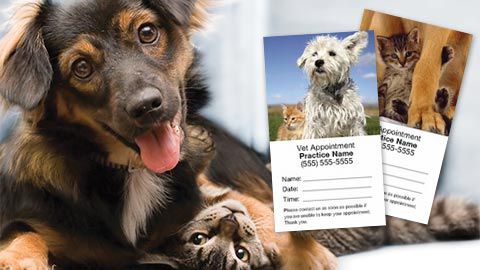 Practice Solutions - IDEXX UK