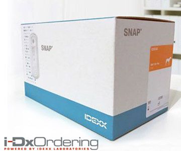 Helping Veterinarians Care for Pets and Clients - IDEXX Australia