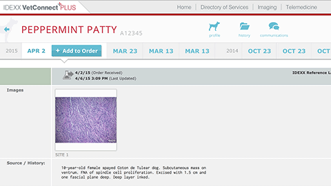 VetStat Electrolyte and Blood Gas 분석기 | IDEXX Veterinary Diagnostics ...