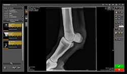 IDEXX EliteVision Digital Imaging System - Digital Imaging for Equine ...