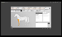 IDEXX EliteVision Digital Imaging System - Digital Imaging for Equine ...