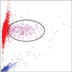 ProCyte 점도표 - IDEXX Korea