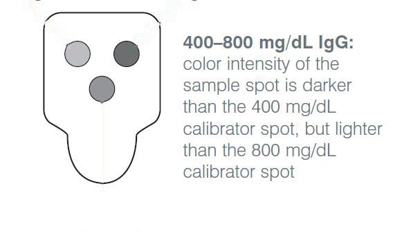 SNAP Foal IgG Test - IDEXX Australia