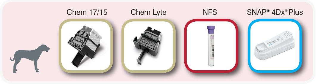 SNAP 4Dx Case Study - IDEXX France