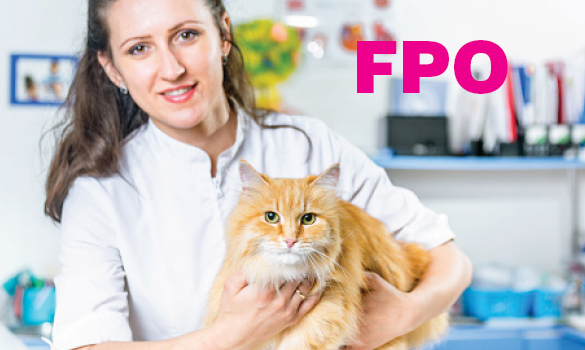 IDEXX ProCyte One Haematology Analyser - IDEXX Australia