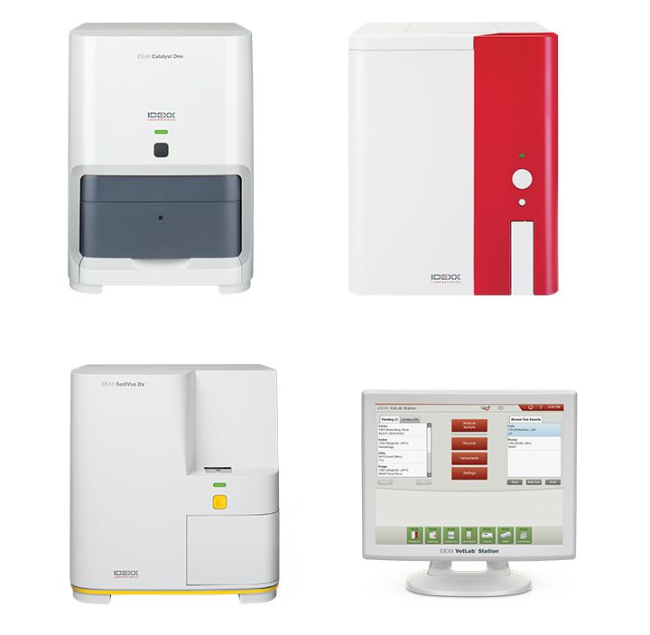 Start your veterinary practice affordably with IDEXX - IDEXX Sweden