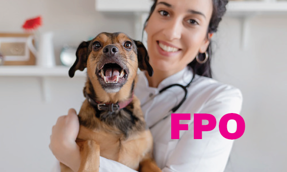 ProCyte Dx Hematology 분석기 | IDEXX Veterinary Diagnostics - IDEXX Korea