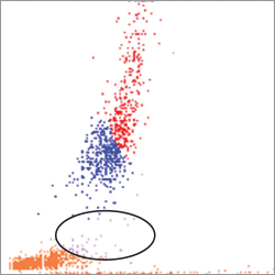 ProCyte 점도표 - IDEXX Korea