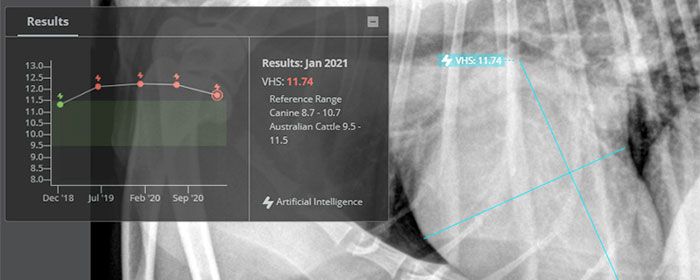 IDEXX Web PACS Vertebral Heart Score Results and Trending Feature Can ...