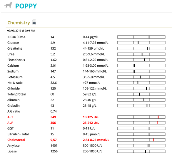 MDB Case study Poppy - IDEXX UK
