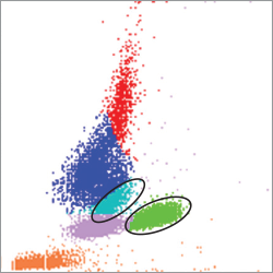 ProCyte 점도표 - IDEXX Korea