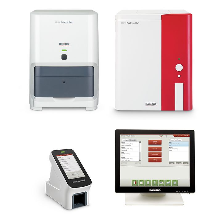 IDEXX 360 - IDEXX Czech