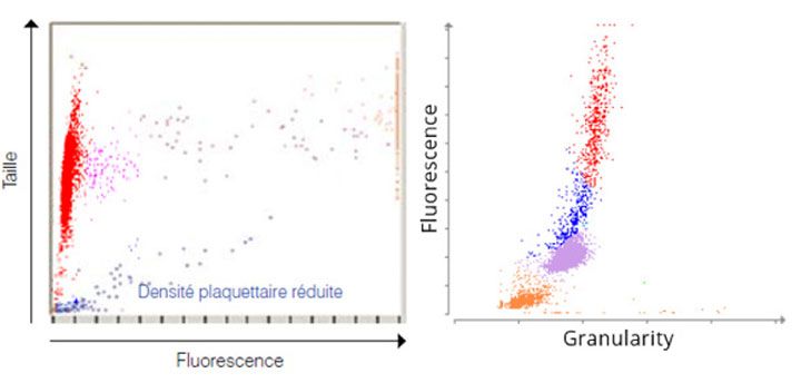SNAP 4Dx Case Study - IDEXX France