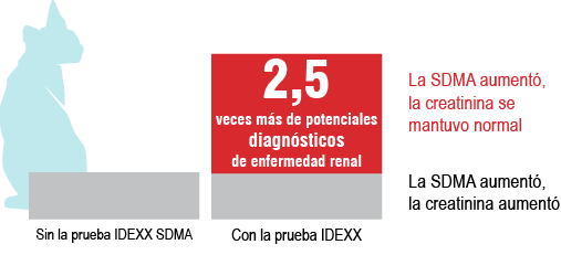 SDMA aumentada - IDEXX Latin America (LAO)