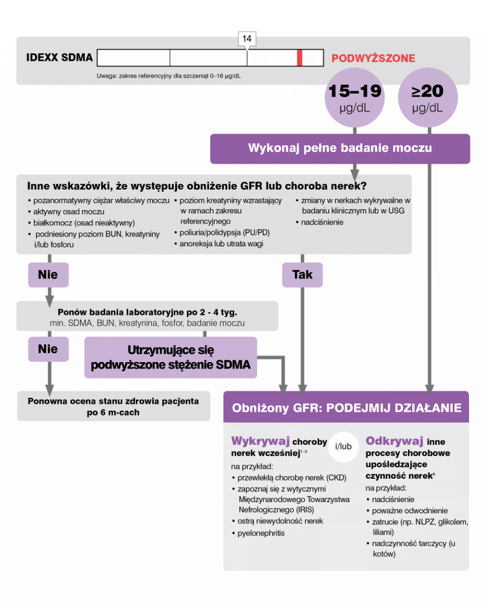 Interpretacja wyników testu SDMA - IDEXX Poland