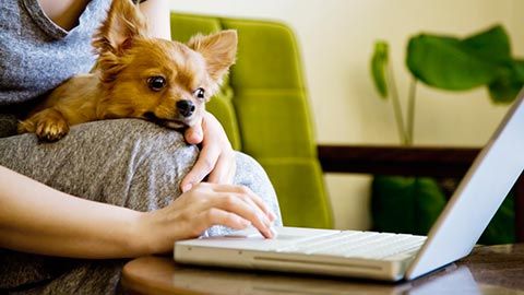 Learn with IDEXX - IDEXX New Zealand