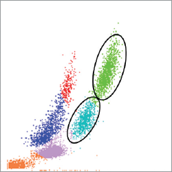 ProCyte 점도표 - IDEXX Korea