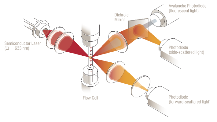 ProCyte Dx Hematology Analyzer - IDEXX Brasil