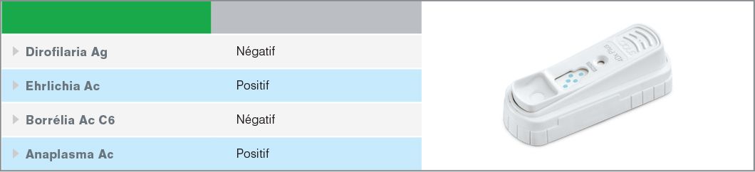 SNAP 4Dx Case Study - IDEXX France
