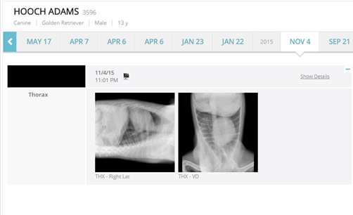 Do more with VetConnect PLUS—right in Cornerstone - Newsletter - IDEXX ...