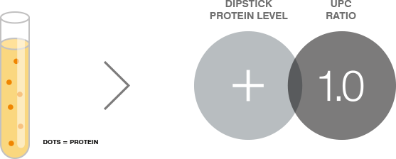 Urine Protein Creatinine Ratio - IDEXX UK
