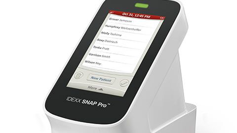 SNAP cPL Test for Canine Pancreatitis (canine pancreas-specific lipase ...