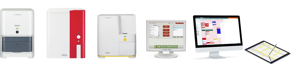 Start your veterinary practice affordably with IDEXX - IDEXX UK