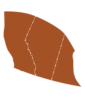 Regionally Specific Allergy Panels | IDEXX Reference Laboratories ...
