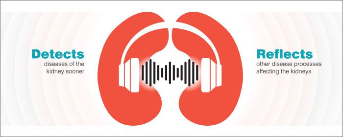 SDMA: What Are Their Kidneys Telling You? - IDEXX US