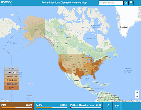 SNAP Tests - IDEXX US