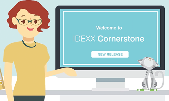 Current Cornerstone Software Customer Support - IDEXX Australia