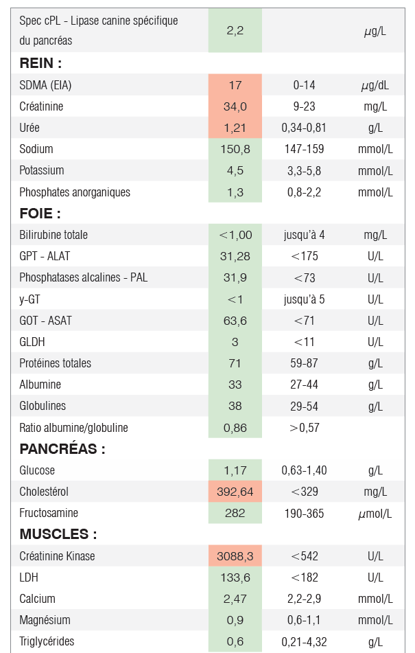 Cas clinique SDMA : Petit Pere - IDEXX France