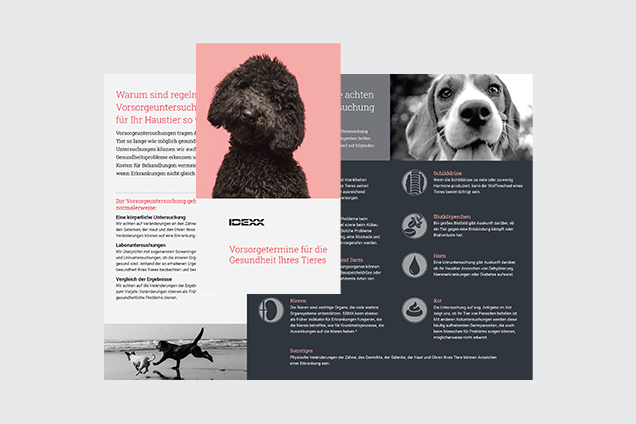 Kundenkommunikation | IDEXX Preventive Care - IDEXX Germany