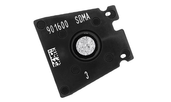 The new Catalyst SDMA Test - IDEXX Australia