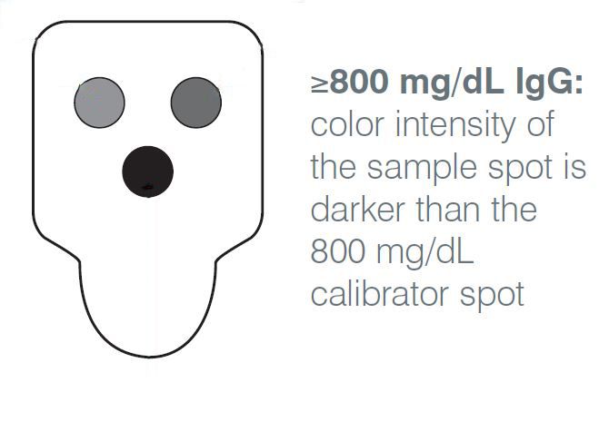 SNAP Foal IgG Test - IDEXX Australia