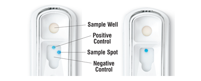 IDEXX SNAP® BVDV Antigen Test - IDEXX US
