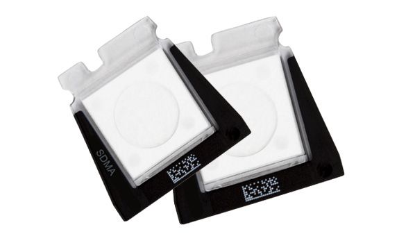 SDMA aumentada - IDEXX Latin America (LAO)