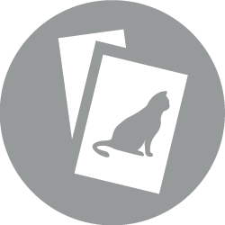 IDEXX Neo: Veterinary Practice Management Software - IDEXX Australia