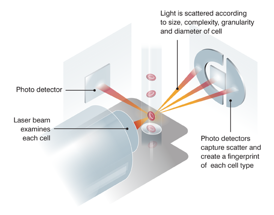 LaserCyte Dx Hematology Analyzer | IDEXX Veterinary Diagnostics - IDEXX ...