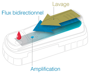 Guide SNAP 4Dx Plus - IDEXX France